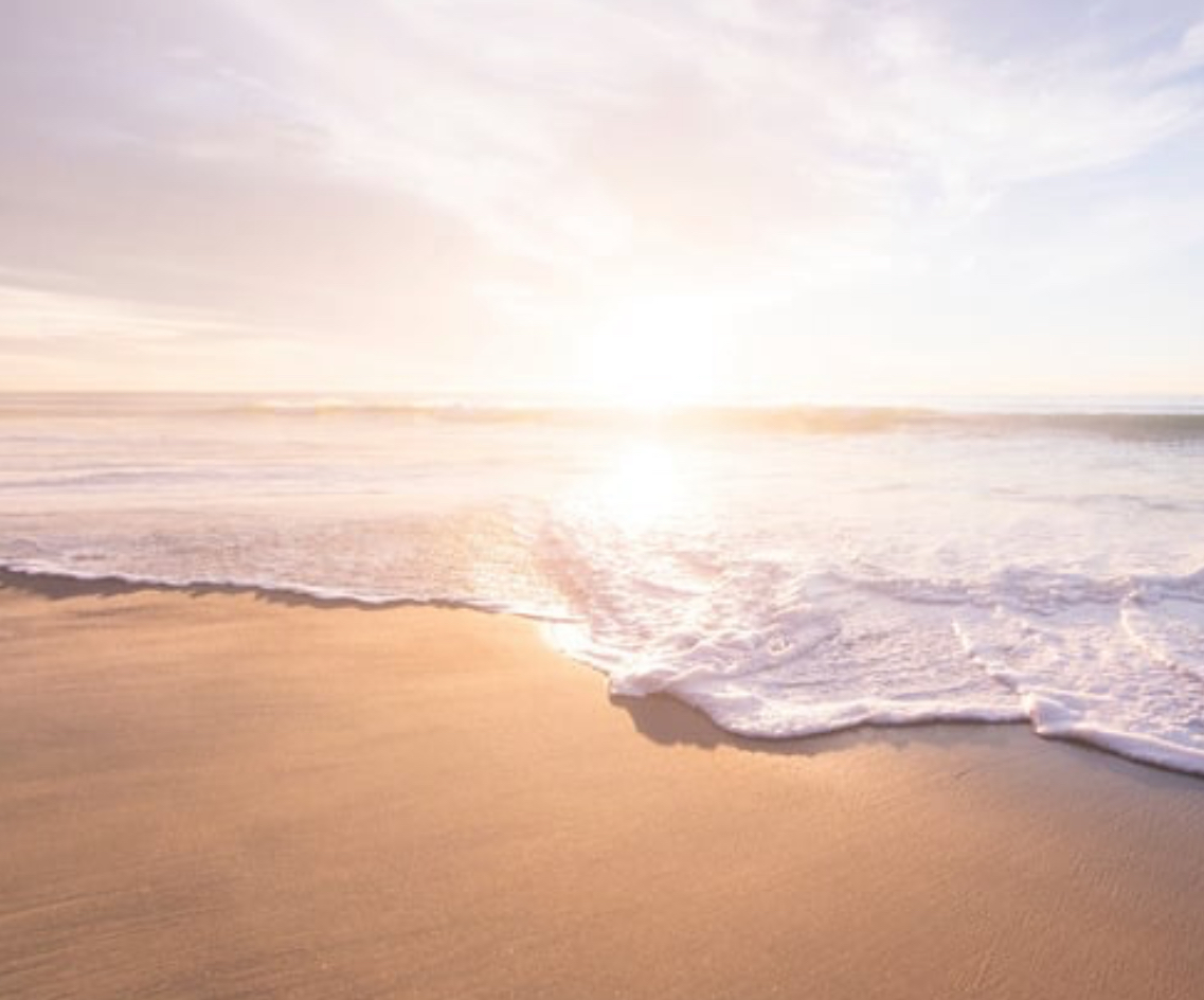 Home - Oakwise Therapy