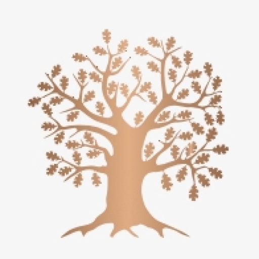 Blogs and Resources - Oakwise Therapy